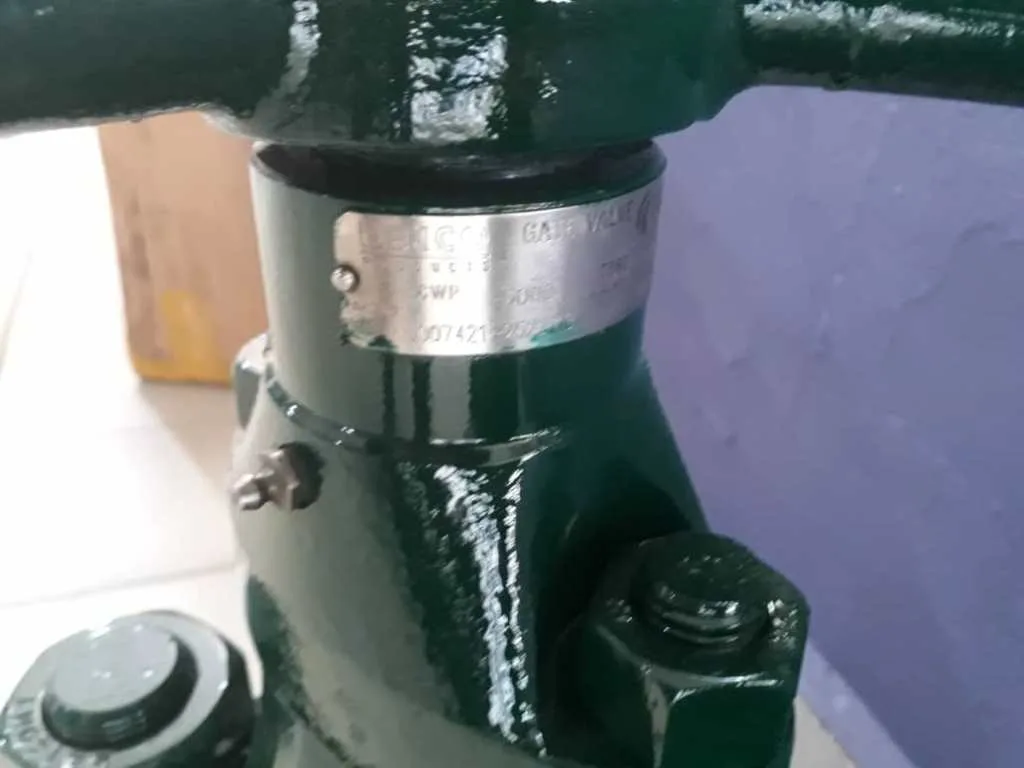 DEMCO DM-5000 4″×5000PSI WP GATE VALVE